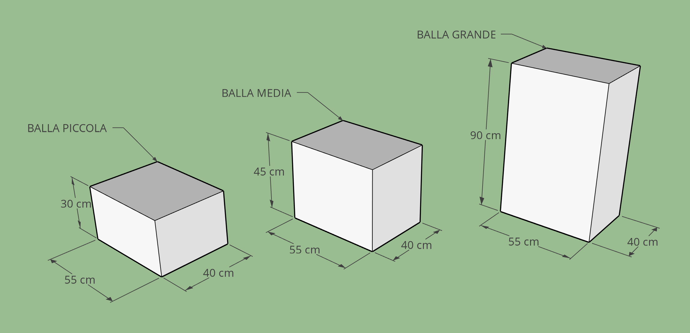 PAILLE BALLOTS RECTANGULAIRES - Gruppo Carli