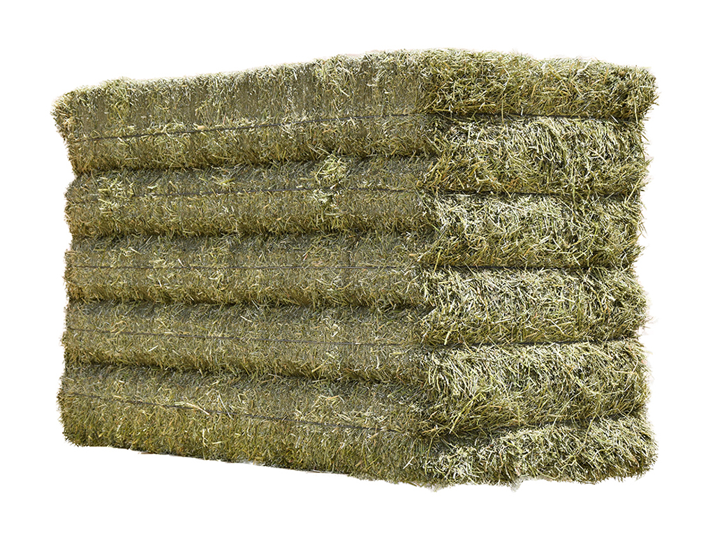 Balloni di fieno di prato naturale polifita per ruminanti