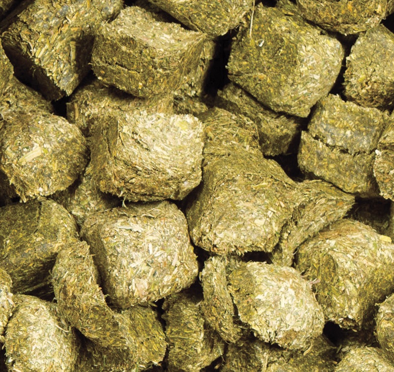 Cubes de fourrage pour chevaux 50% graminées - 50% luzerne