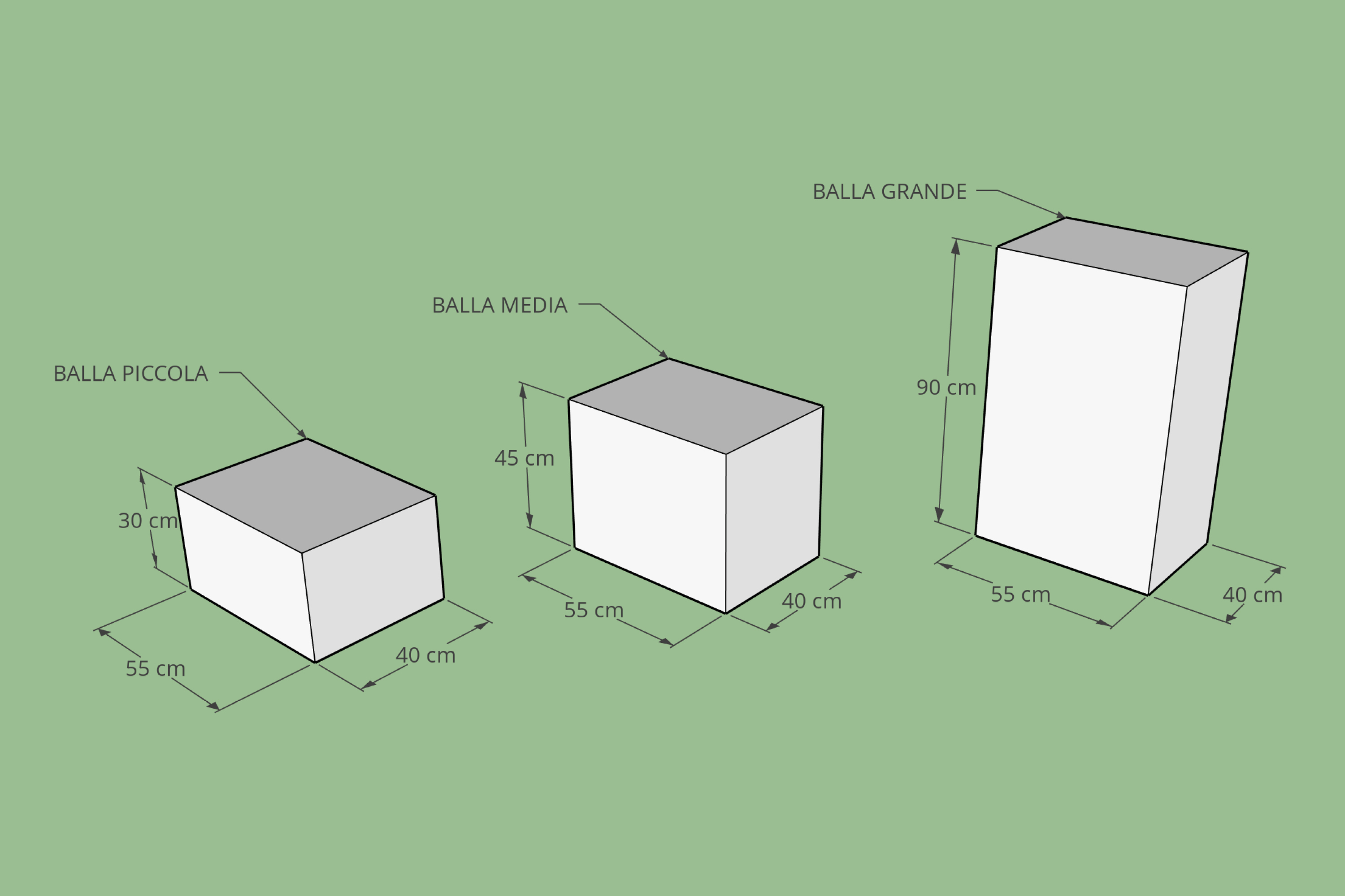 Alfalfa Double compressed bales - Gruppo Carli